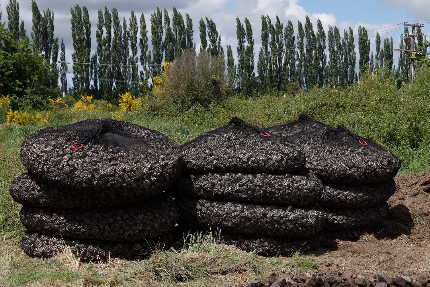 Cirtex Rock Bags - Cirtex