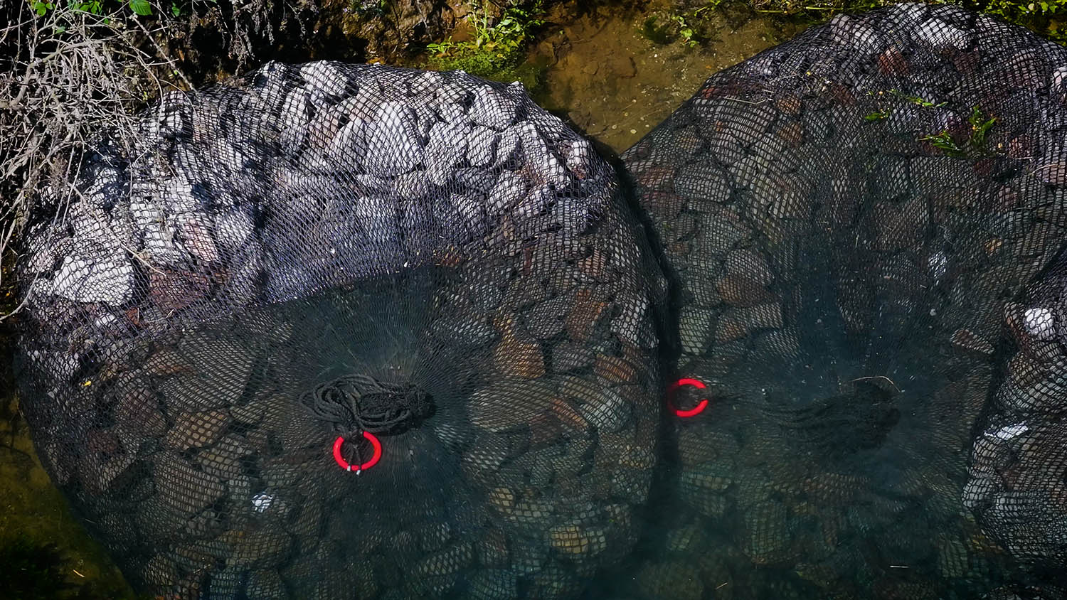 Cirtex Rock Bags - Cirtex